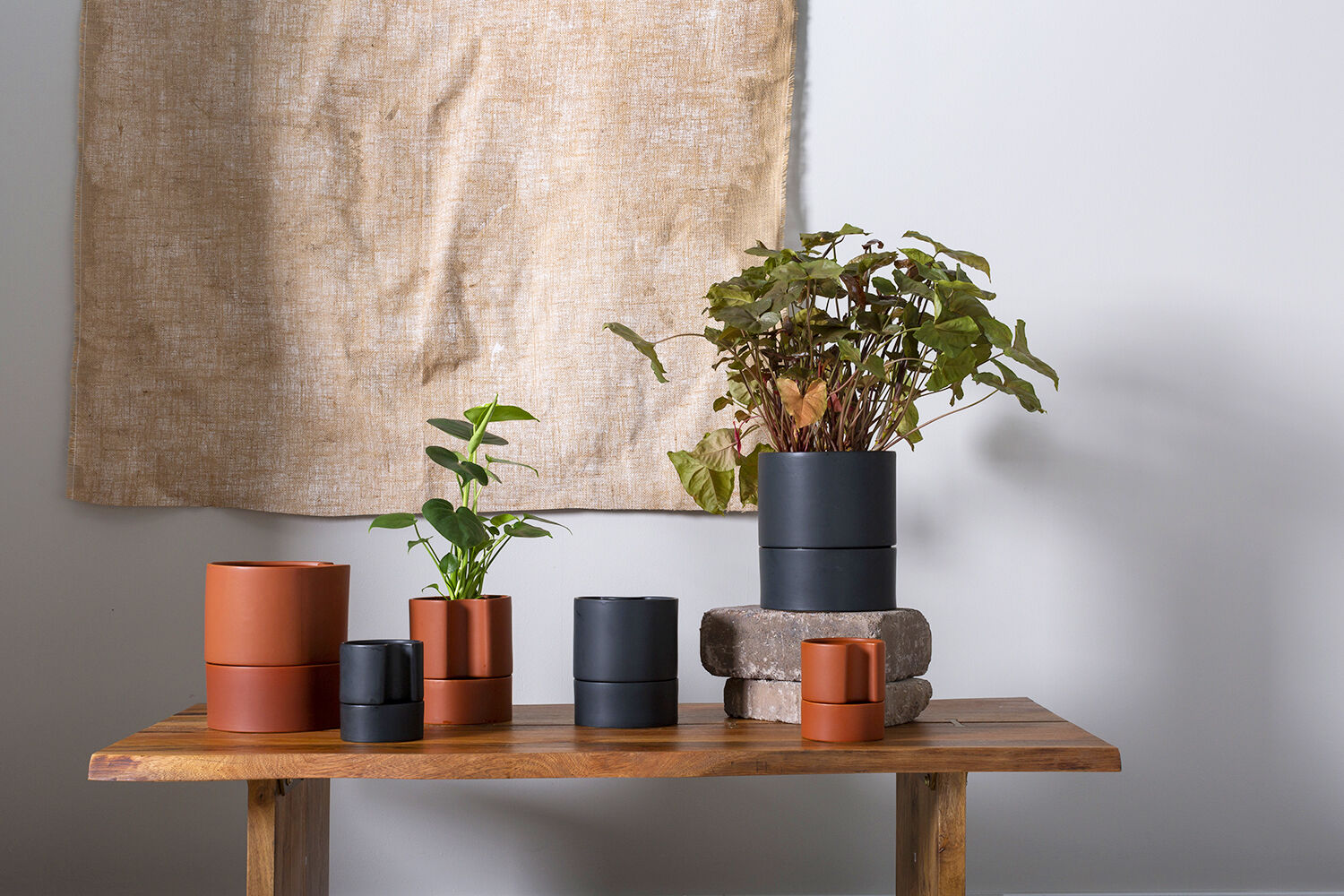 Planters & Pots | Indoor & Outdoor Garden Styling – Maxwell's